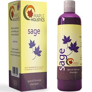 Maple Holistics Shampoo & Oil | Freebie Hunter